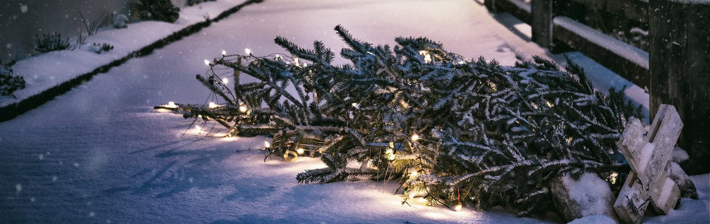 What To Do with Your Christmas Tree Post-Christmas | Rhino Greenhouses UK