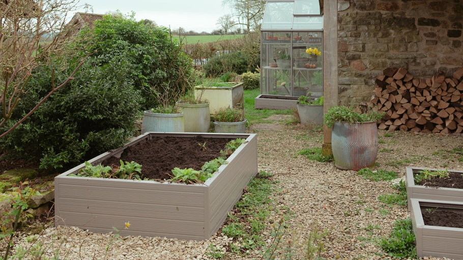 Raised Beds Month-by-Month Growing Guide | Rhino Greenhouses UK